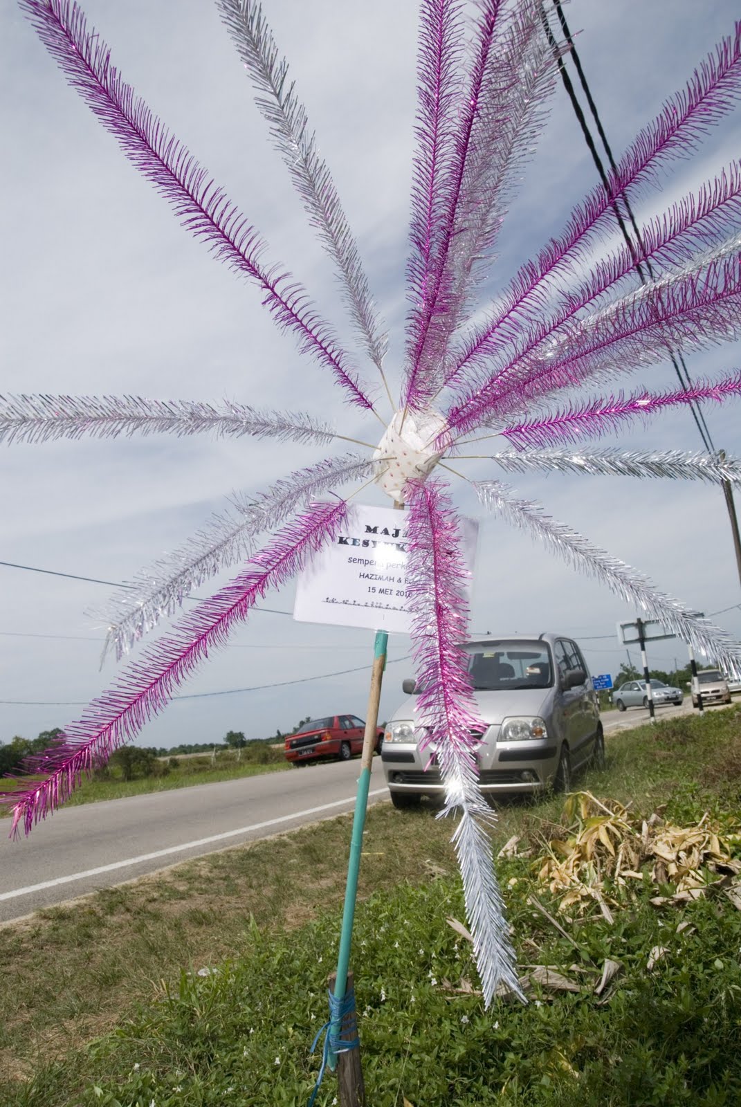 uNfLoWeR::~: DIY:Bunga manggar & Hidangan Pengantin